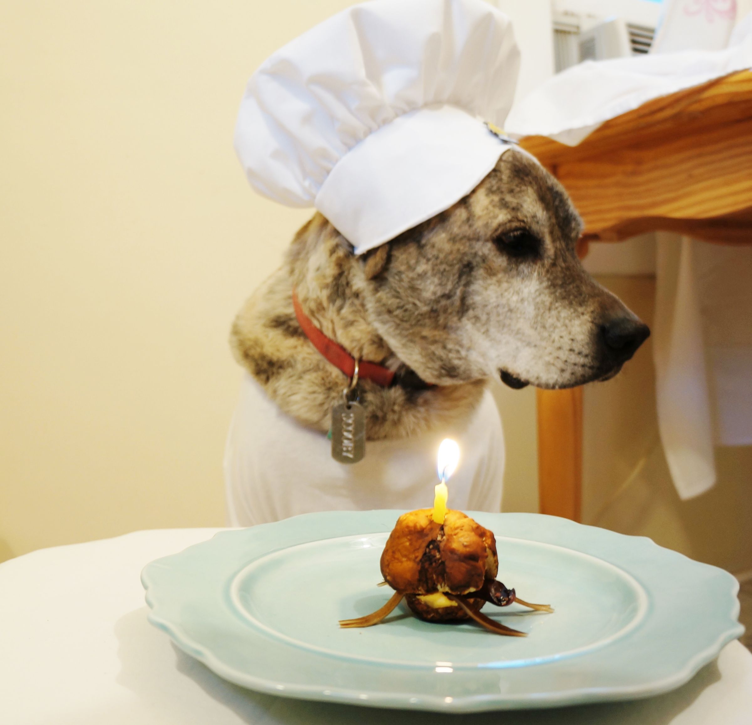 How to Make a Chef Hat Toque Pattern for Large or Small Pets : 12 Steps ...