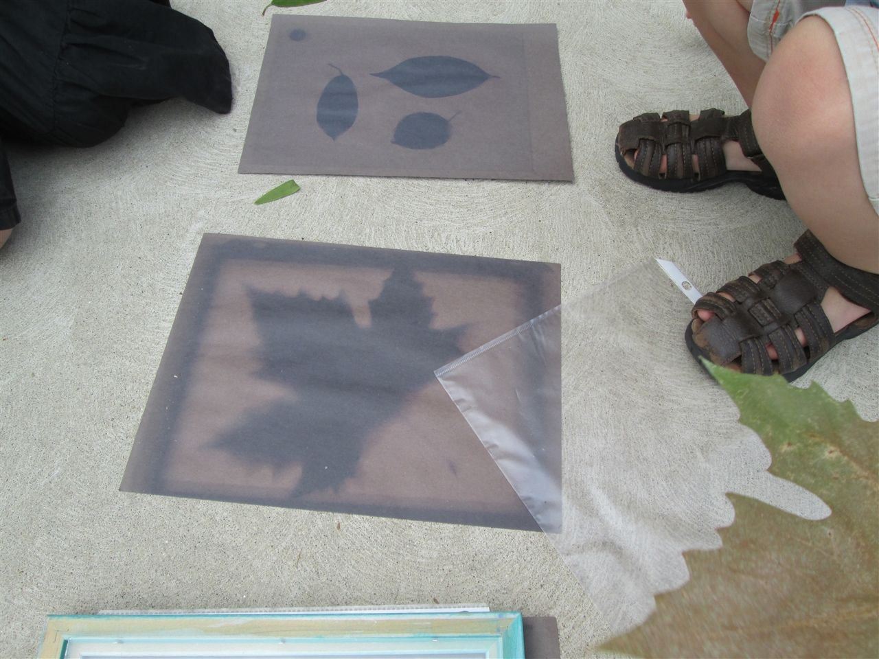 DIY Construction Paper Solar Prints : 6 Steps (with Pictures ...