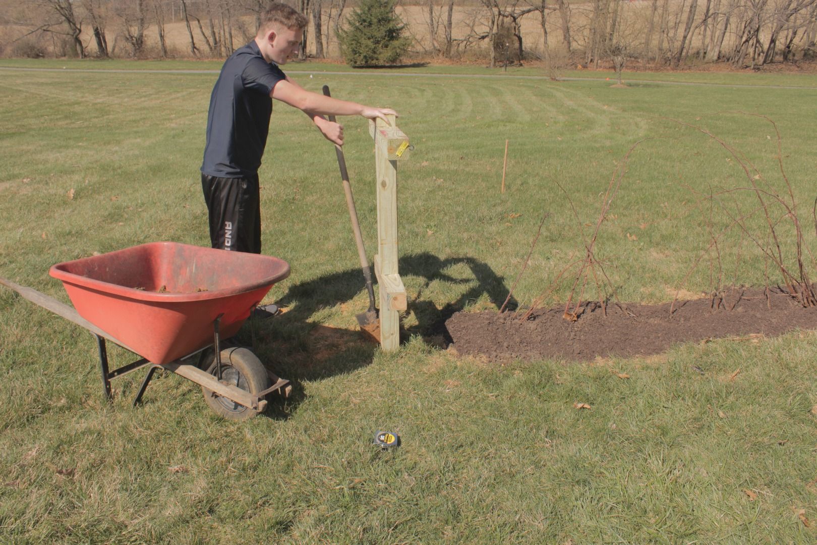 Backyard Raspberries : 17 Steps (with Pictures) - Instructables