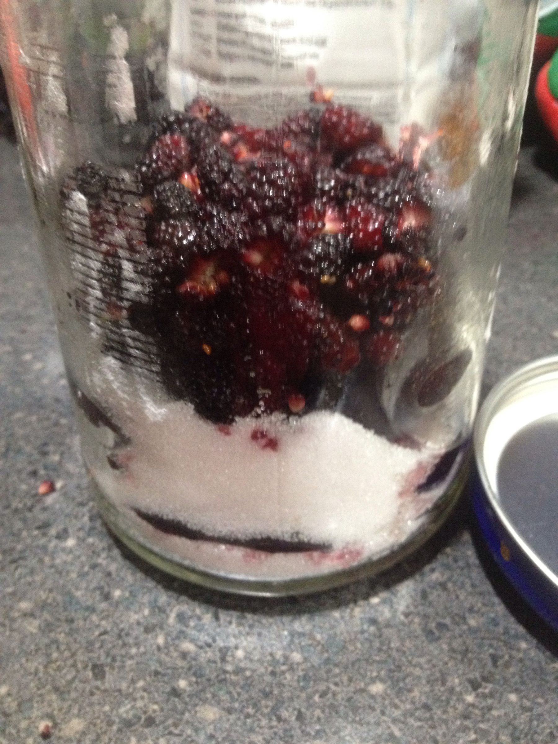 Preserving Fruit in Alcohol : 4 Steps - Instructables