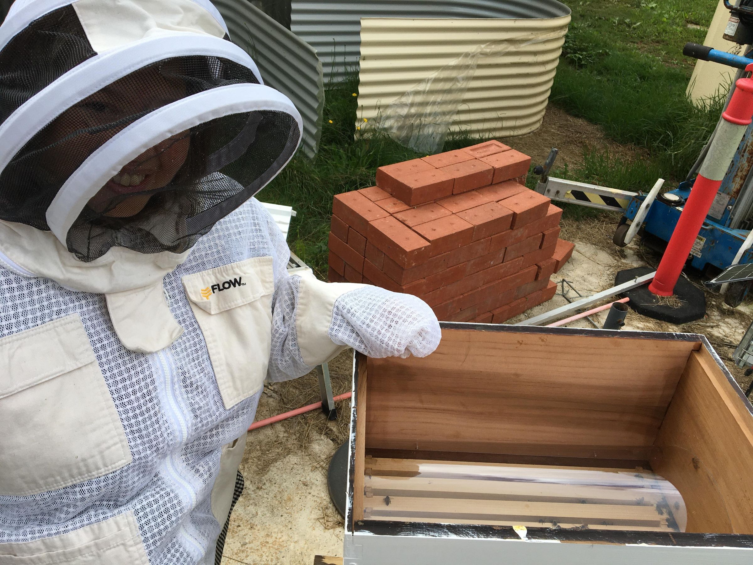 DIY HONEY BEE HIVE OBSERVATION DOME WITH IN HIVE FEEDER : 5 Steps (with ...