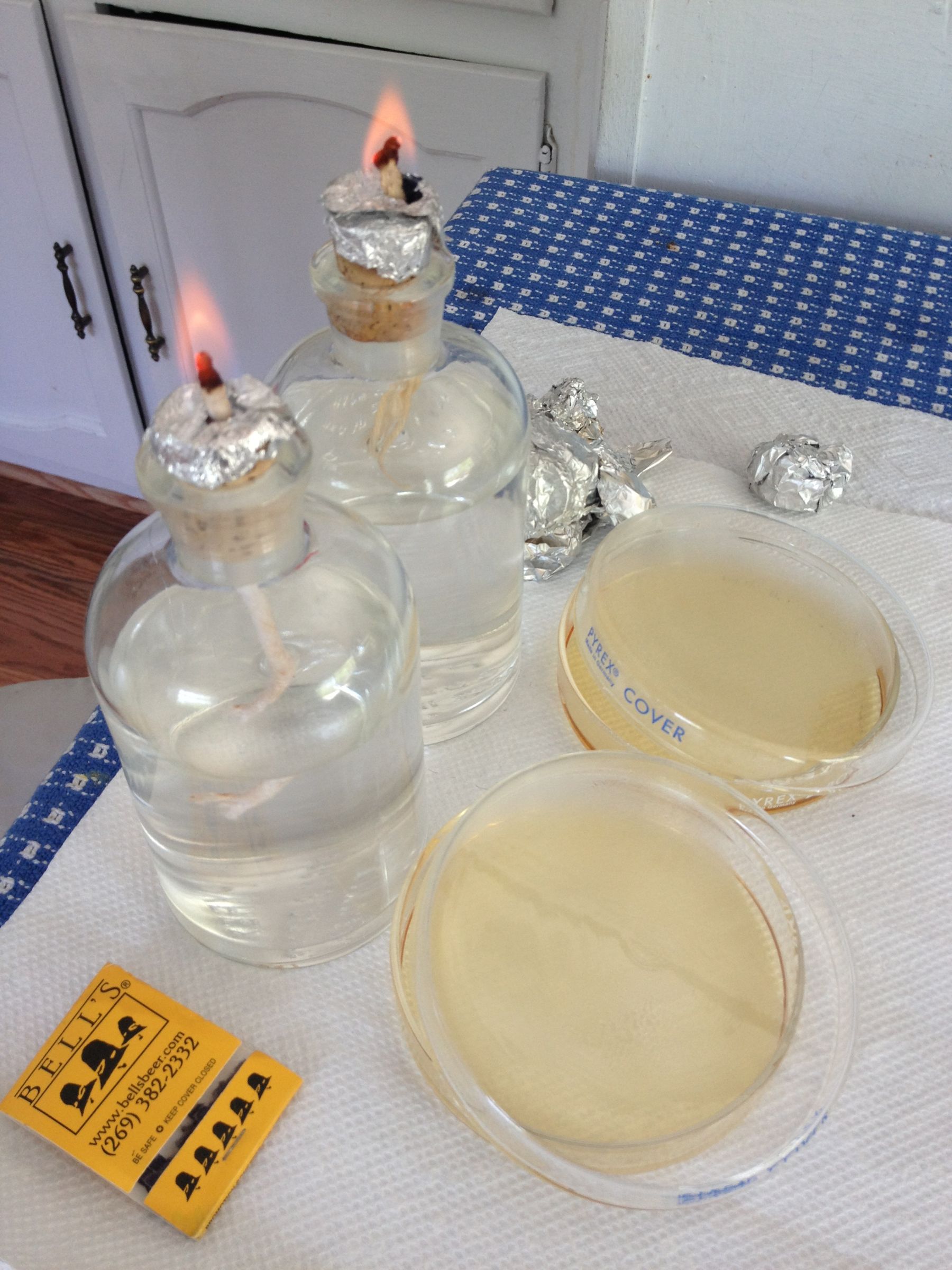 How to Make Solid Culture Medium Plates for Yeast Culture : 8 Steps ...