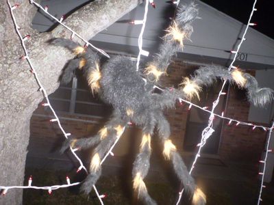 DIY GIANT Spider Web : 10 Steps (with Pictures) - Instructables