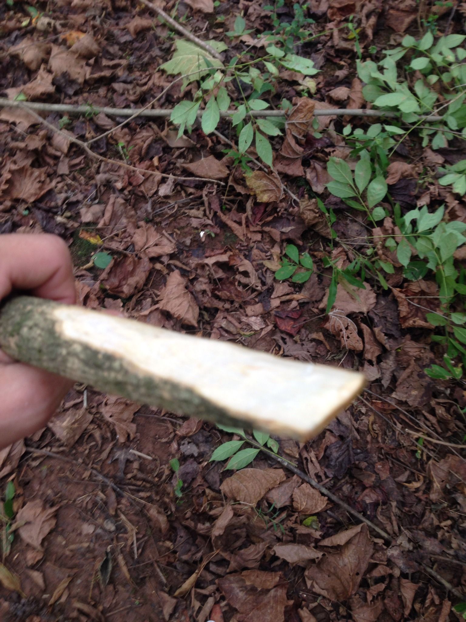 Two-Pronged Hunting Spear : 5 Steps (with Pictures) - Instructables