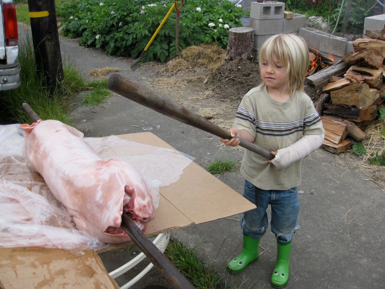 How to Roast a Pig : 20 Steps (with Pictures) - Instructables