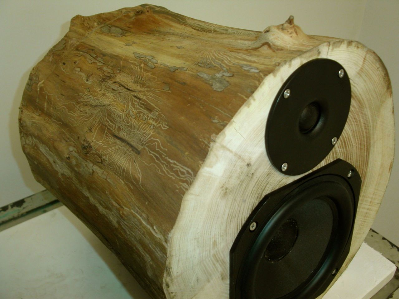 Tree Speakers : 10 Steps (with Pictures) - Instructables
