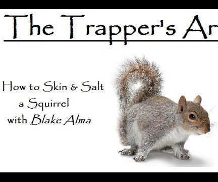 how to skin a squirrel DIY Project - Step-by-Step DIY Project | FindingDIY