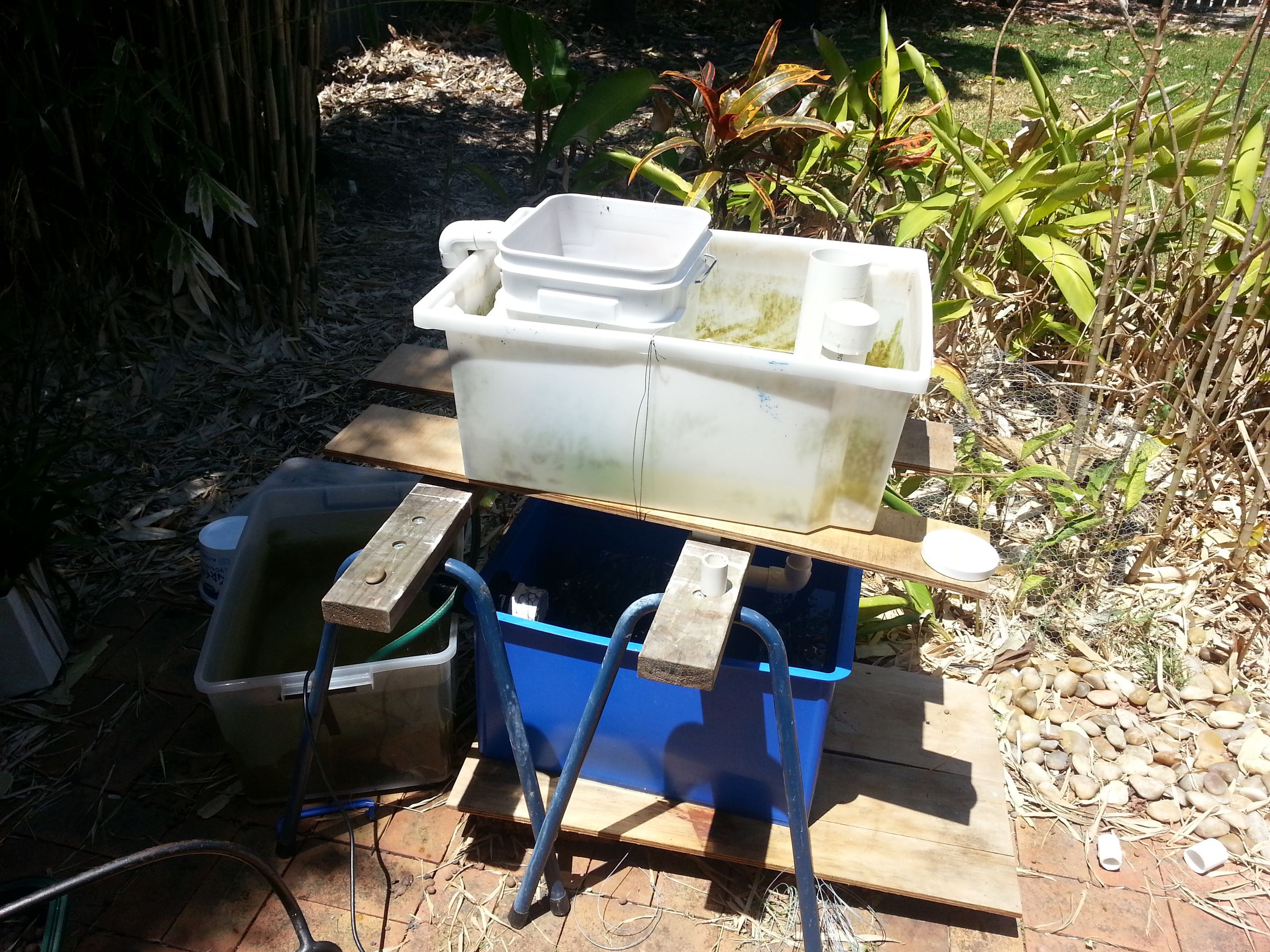 Simple Arduino Controlled Aquaponic System : 8 Steps - Instructables