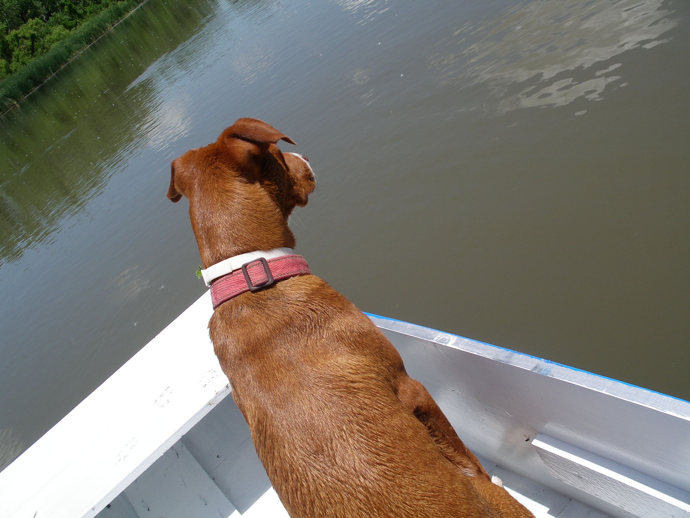 How to Construct a Simple Boat : 12 Steps (with Pictures) - Instructables