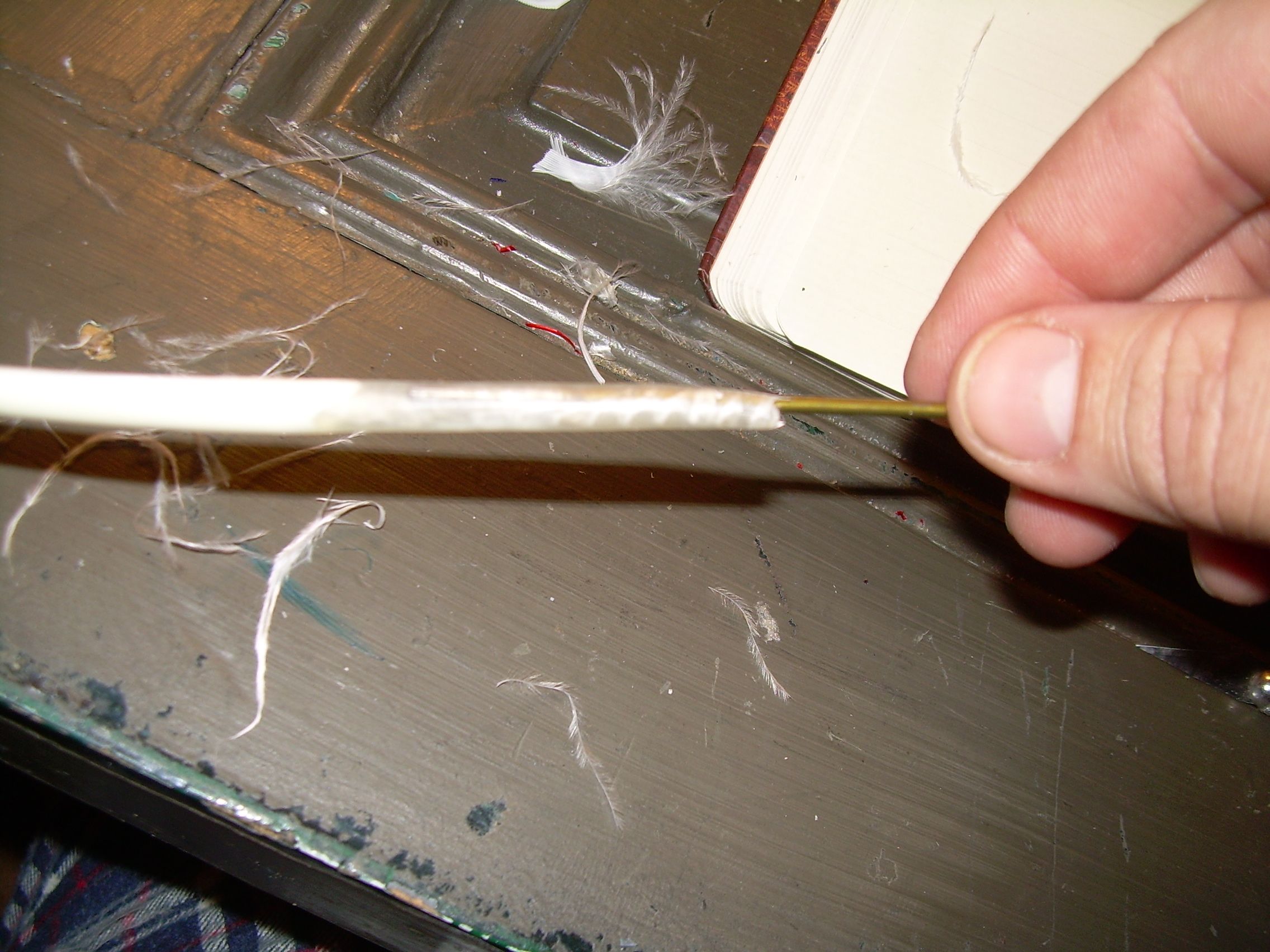 Make a Real Feather Writing Quill : 4 Steps (with Pictures) - Instructables