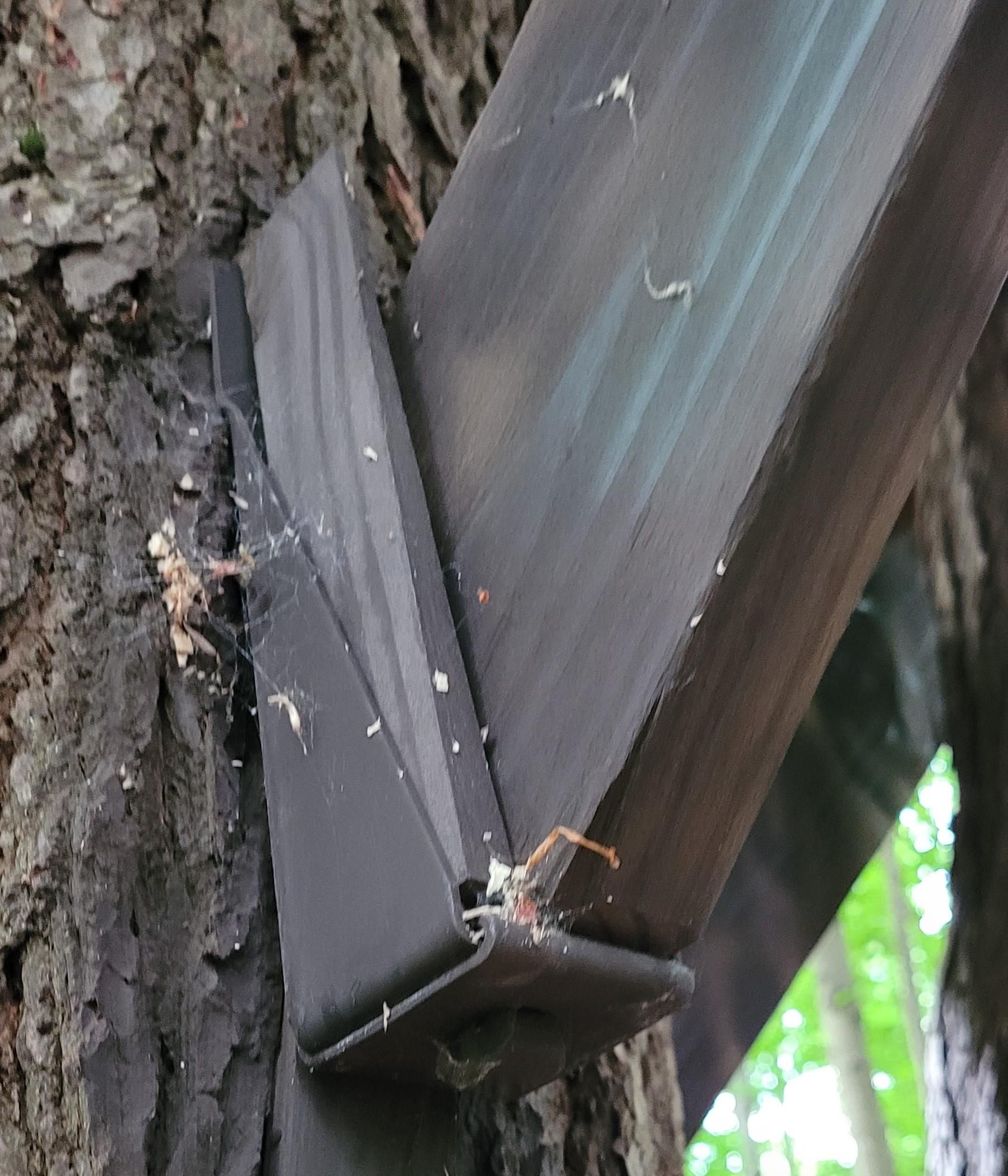 Tree Stand Blind : 12 Steps (with Pictures) - Instructables