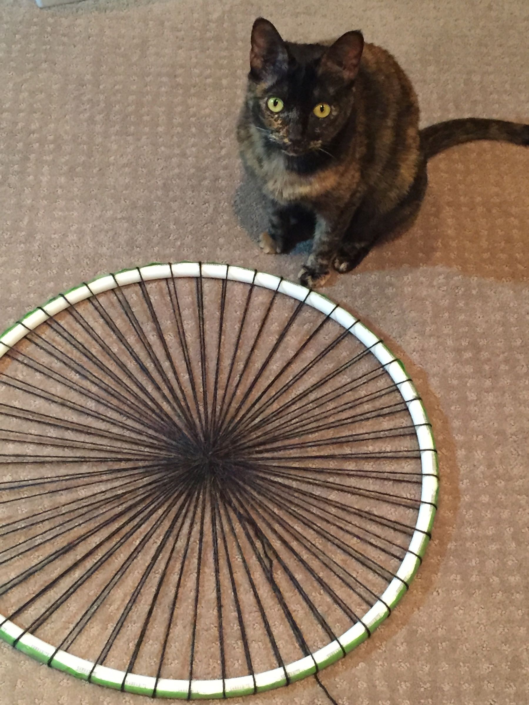 How to Make a Circular Loom From PVC Pipe : 4 Steps - Instructables