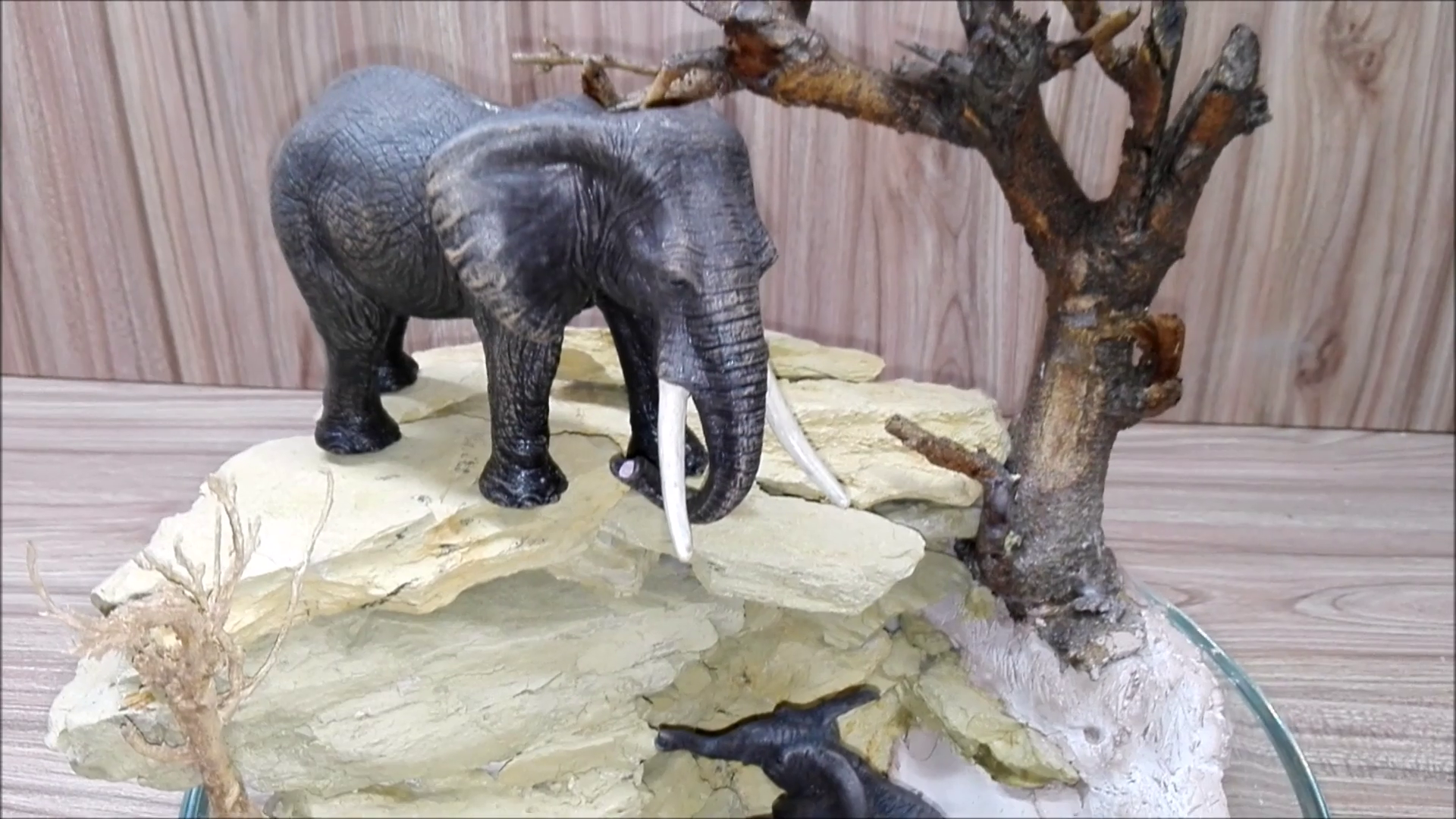 How to Make Wildlife Diorama : 4 Steps - Instructables