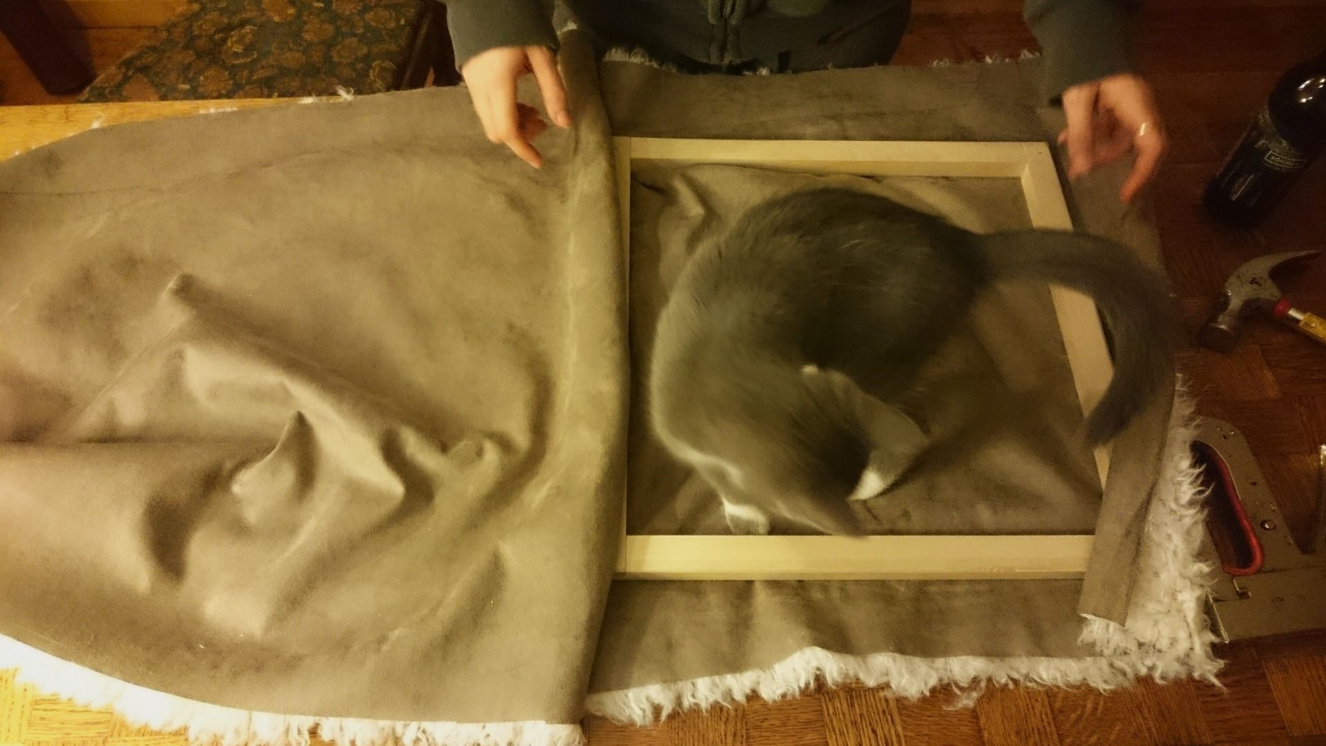 Hanging Cat Bed : 5 Steps (with Pictures) - Instructables