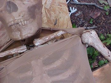Corpsing a Bucky : 9 Steps - Instructables