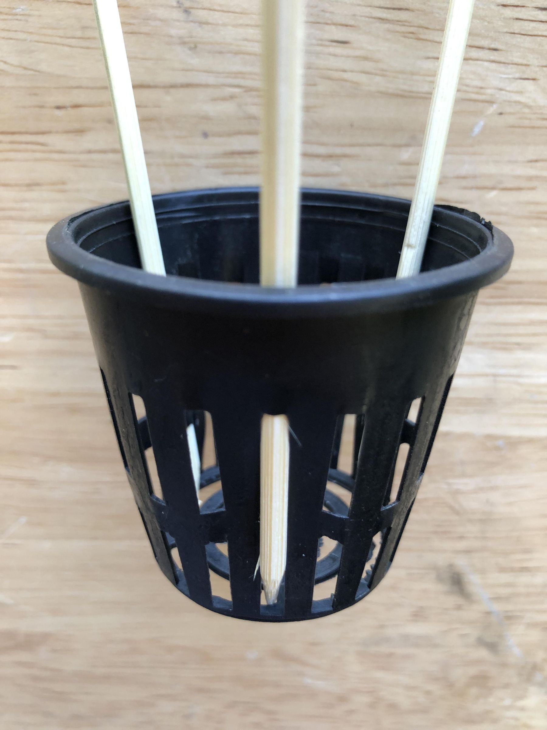 Mini Kratky Jars - Easy Hydroponics : 12 Steps (with Pictures ...