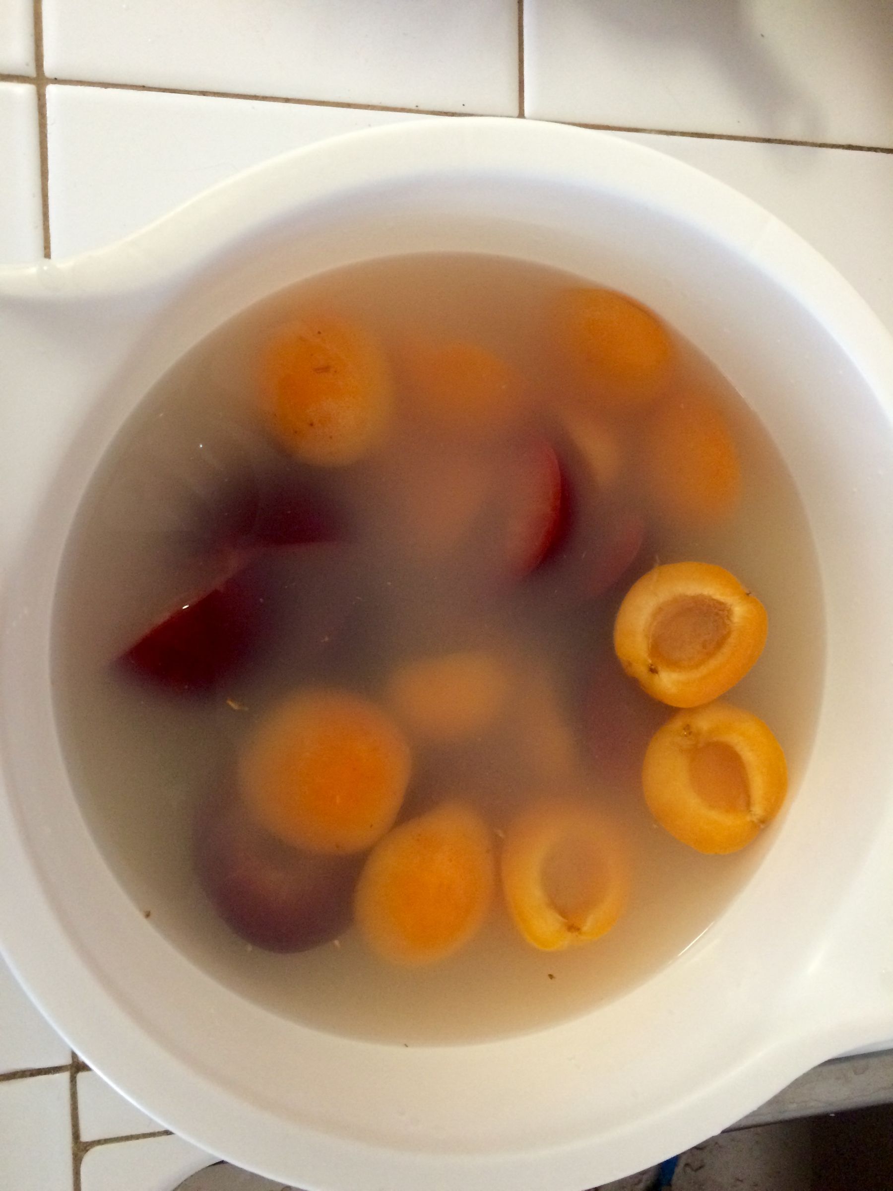 How to Sun Dry Fruit : 4 Steps (with Pictures) - Instructables