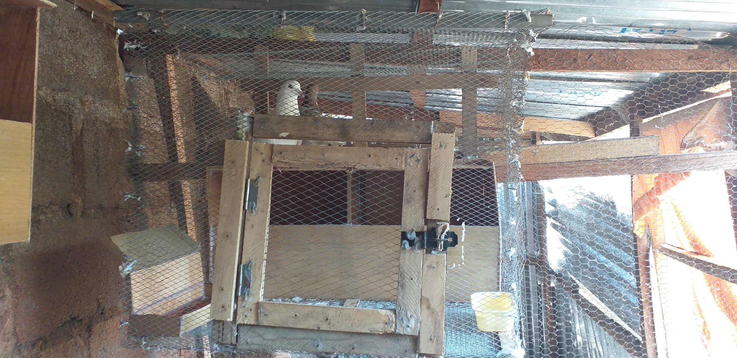 Pigeon House : 8 Steps (with Pictures) - Instructables