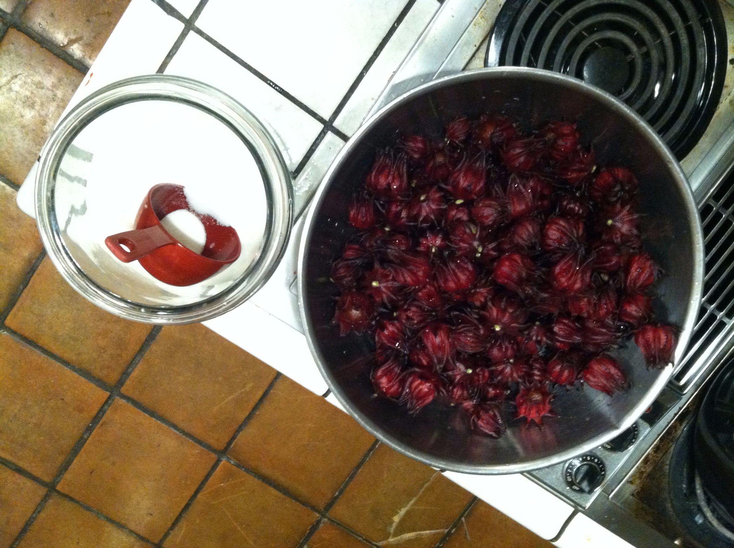 Roselle Syrup for Drinks! : 5 Steps (with Pictures) - Instructables
