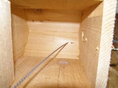 Building the $2 Birdhouse : 8 Steps (with Pictures) - Instructables