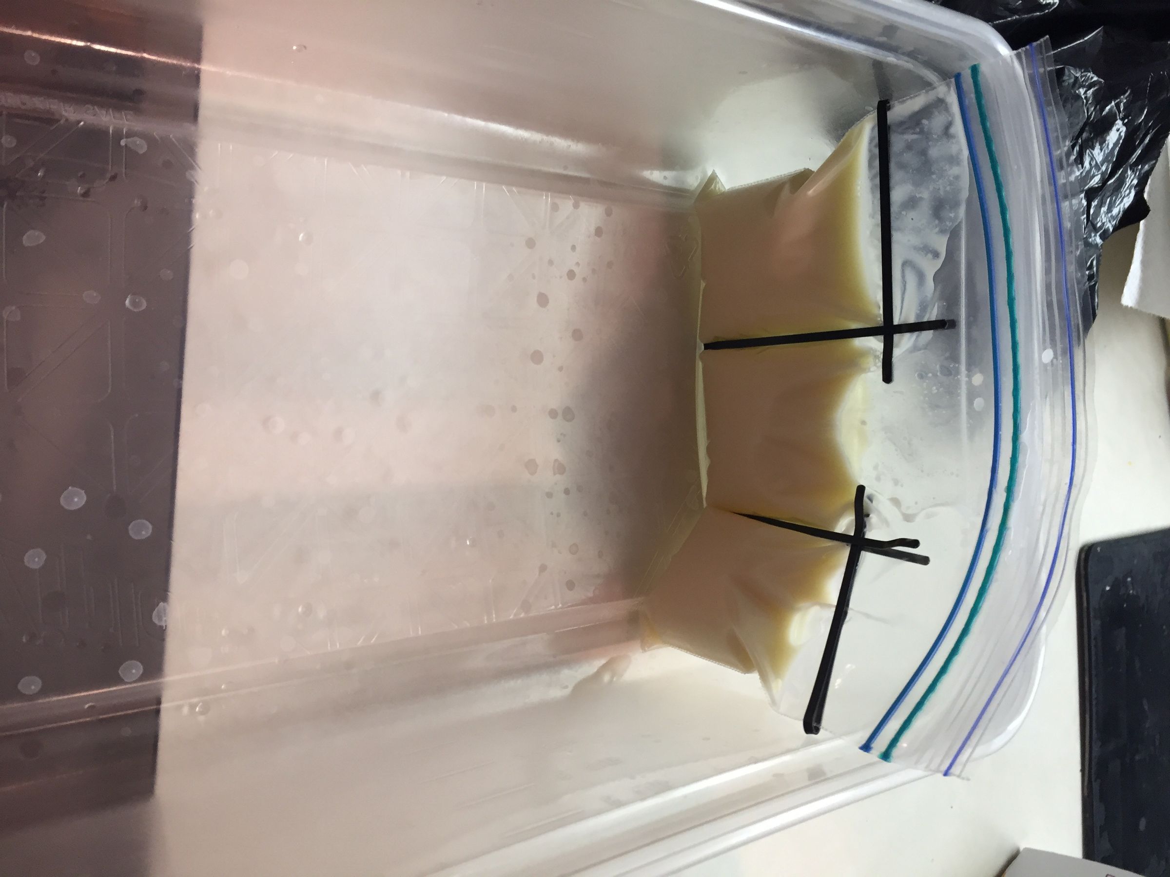 Edible Tide Pod Jell-O Shots : 7 Steps (with Pictures) - Instructables