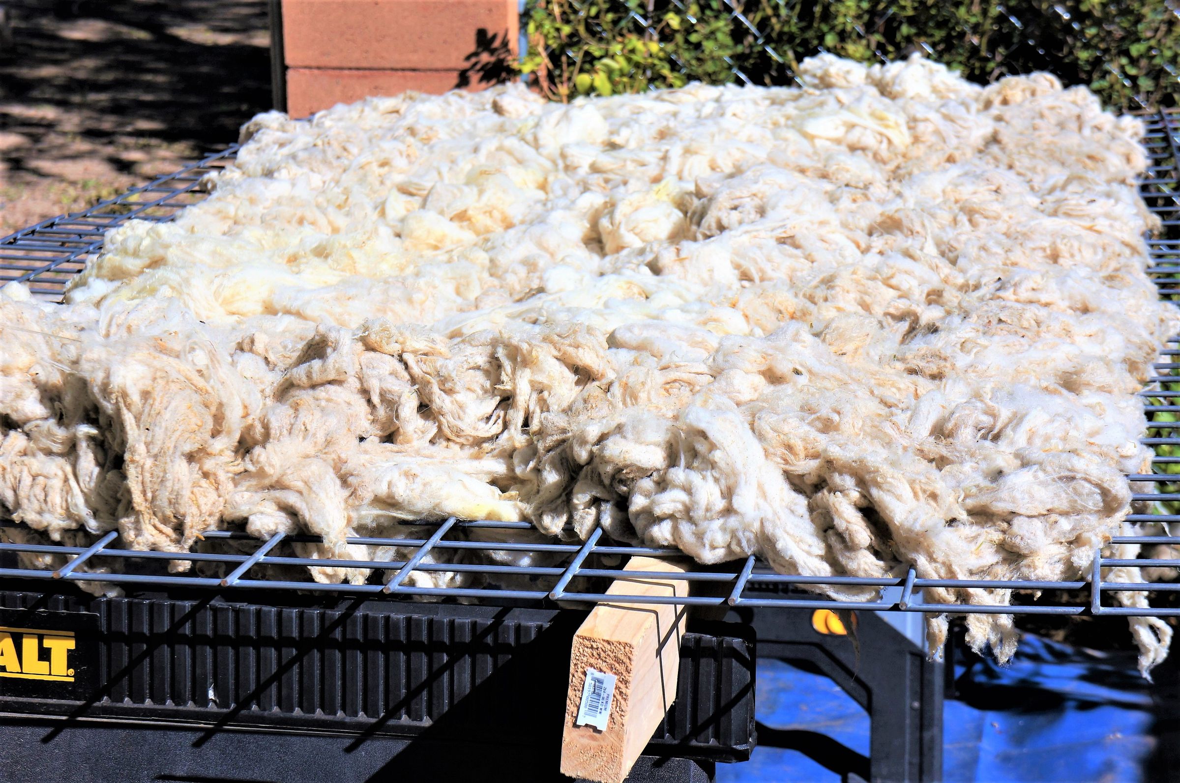How to Process Card and Dye Raw Wool : 12 Steps (with Pictures ...