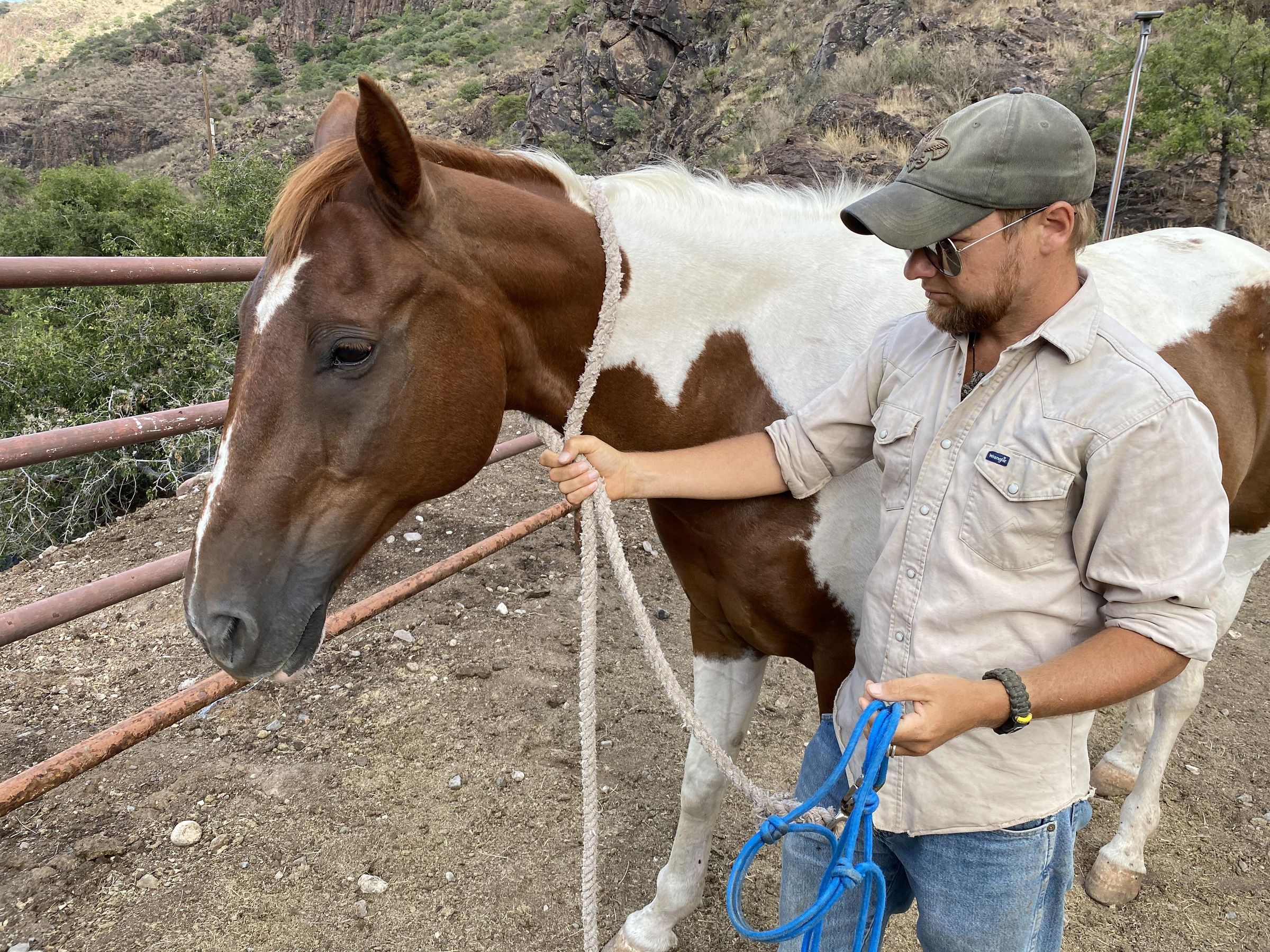 How to Halter a Horse -Fit & Tie a Rope Halter- : 6 Steps (with ...