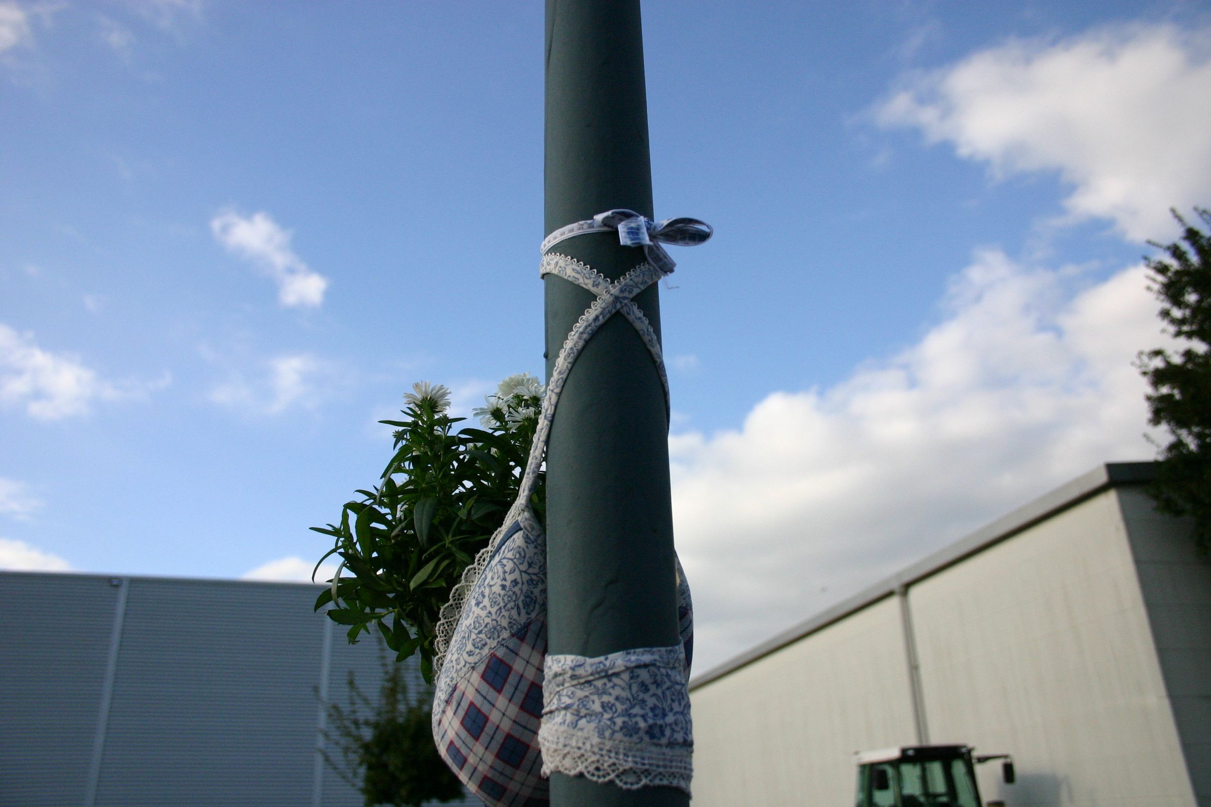 Guerilla Gardening With a Bra : 6 Steps (with Pictures) - Instructables