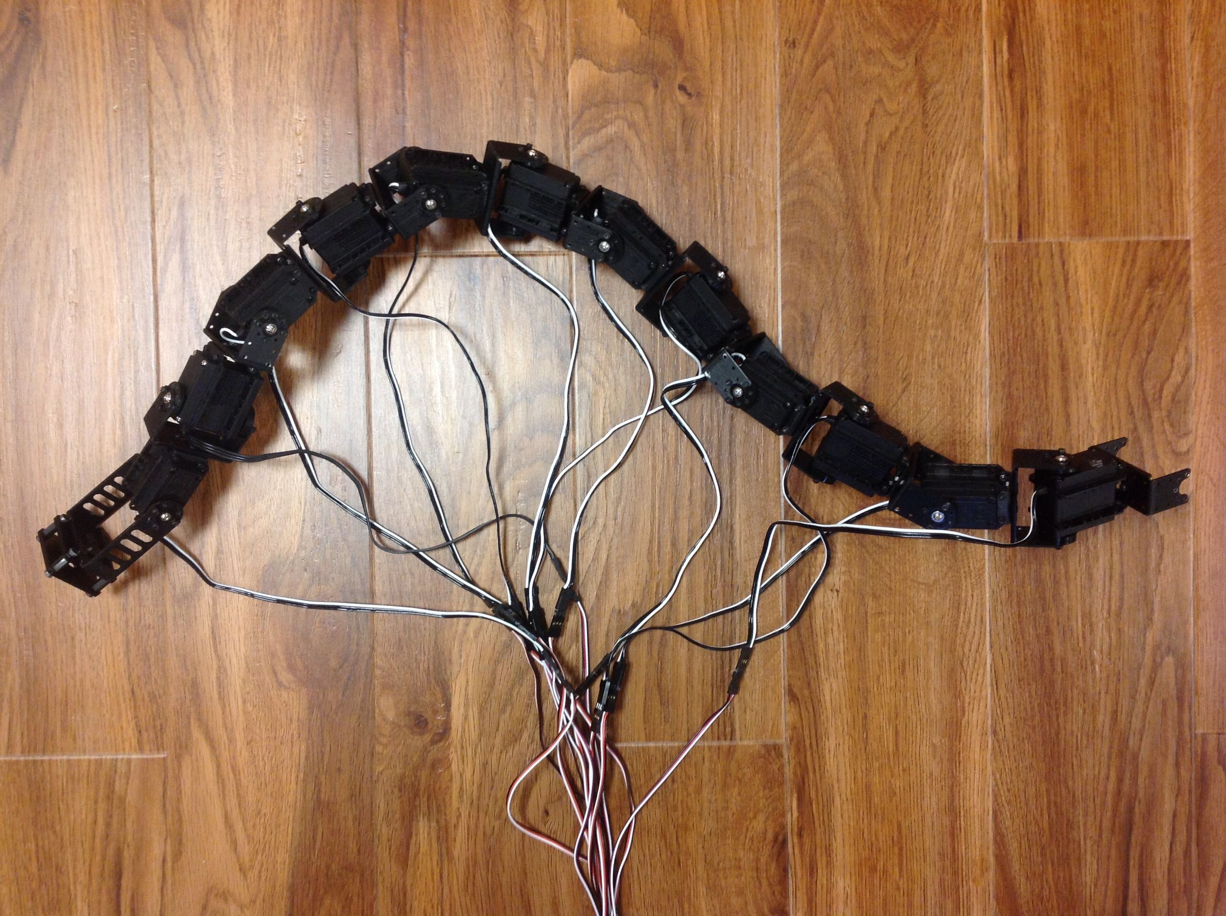 Snake Robot : 7 Steps (with Pictures) - Instructables