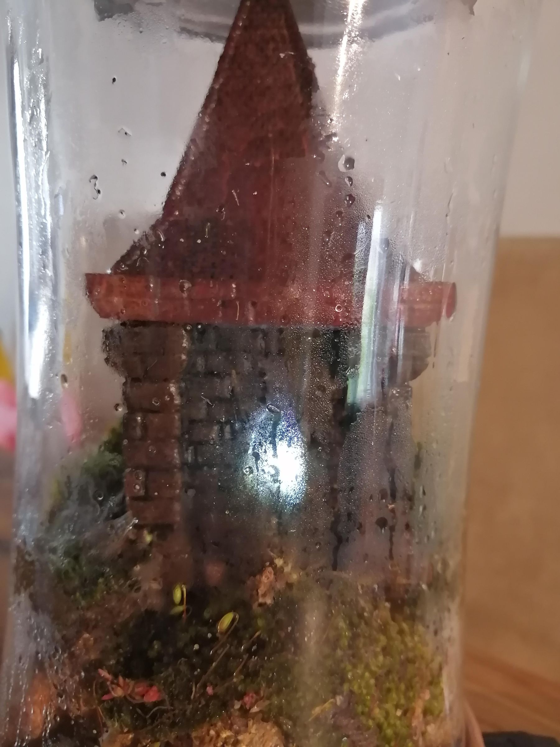 Terrarium With Wirelessly Powered Lights : 8 Steps (with Pictures ...