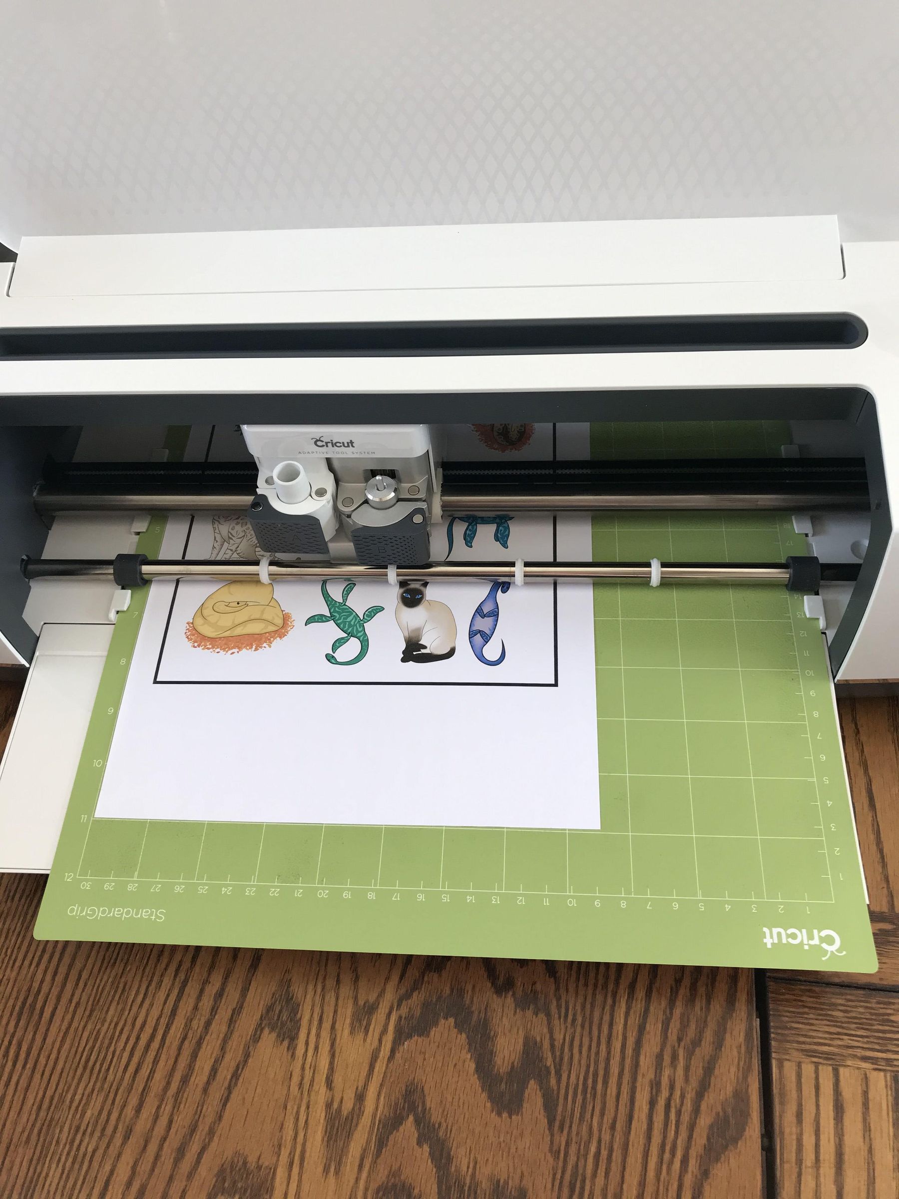 How to Dye Cut Print on a Cricut : 17 Steps (with Pictures) - Instructables