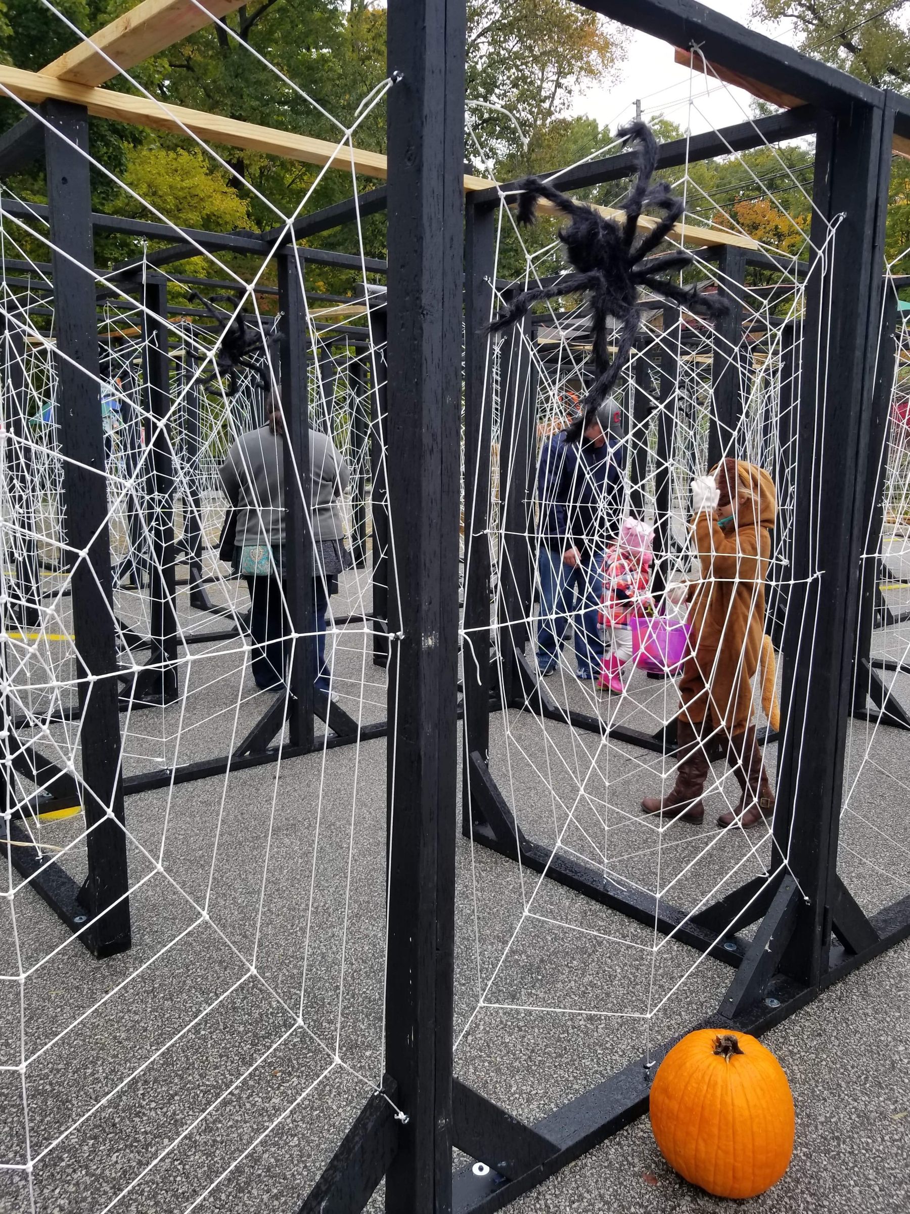 Spider Web Maze : 10 Steps (with Pictures) - Instructables