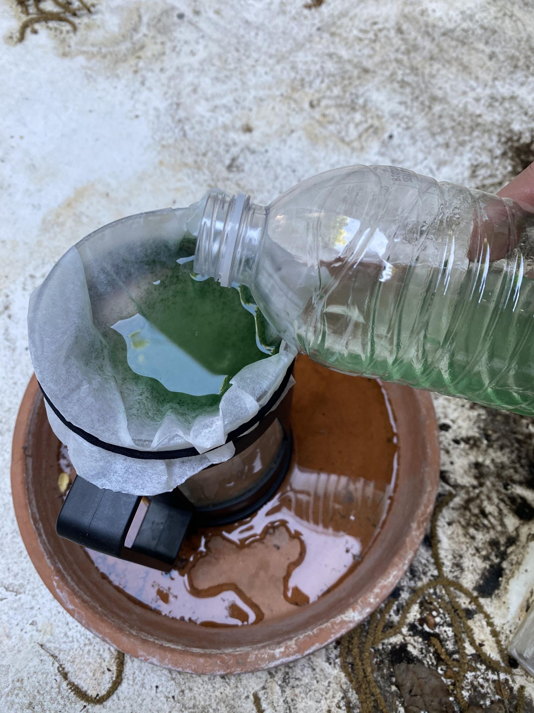 DIY Proof-of-concept Spirulina Photobioreactor to Reduce CO2 Emissions ...