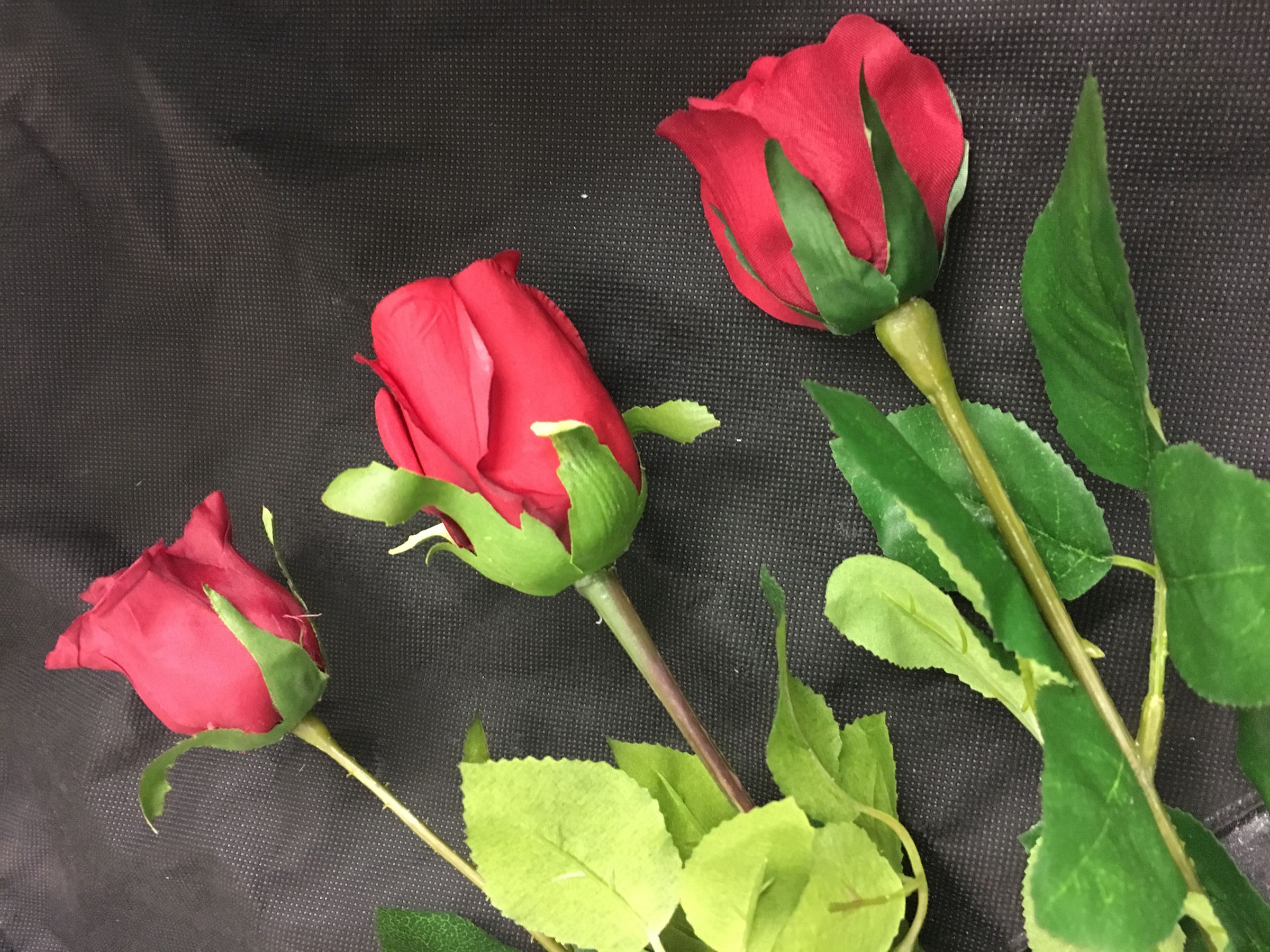 Enchanted Rose - Beauty and the Beast : 6 Steps (with Pictures ...