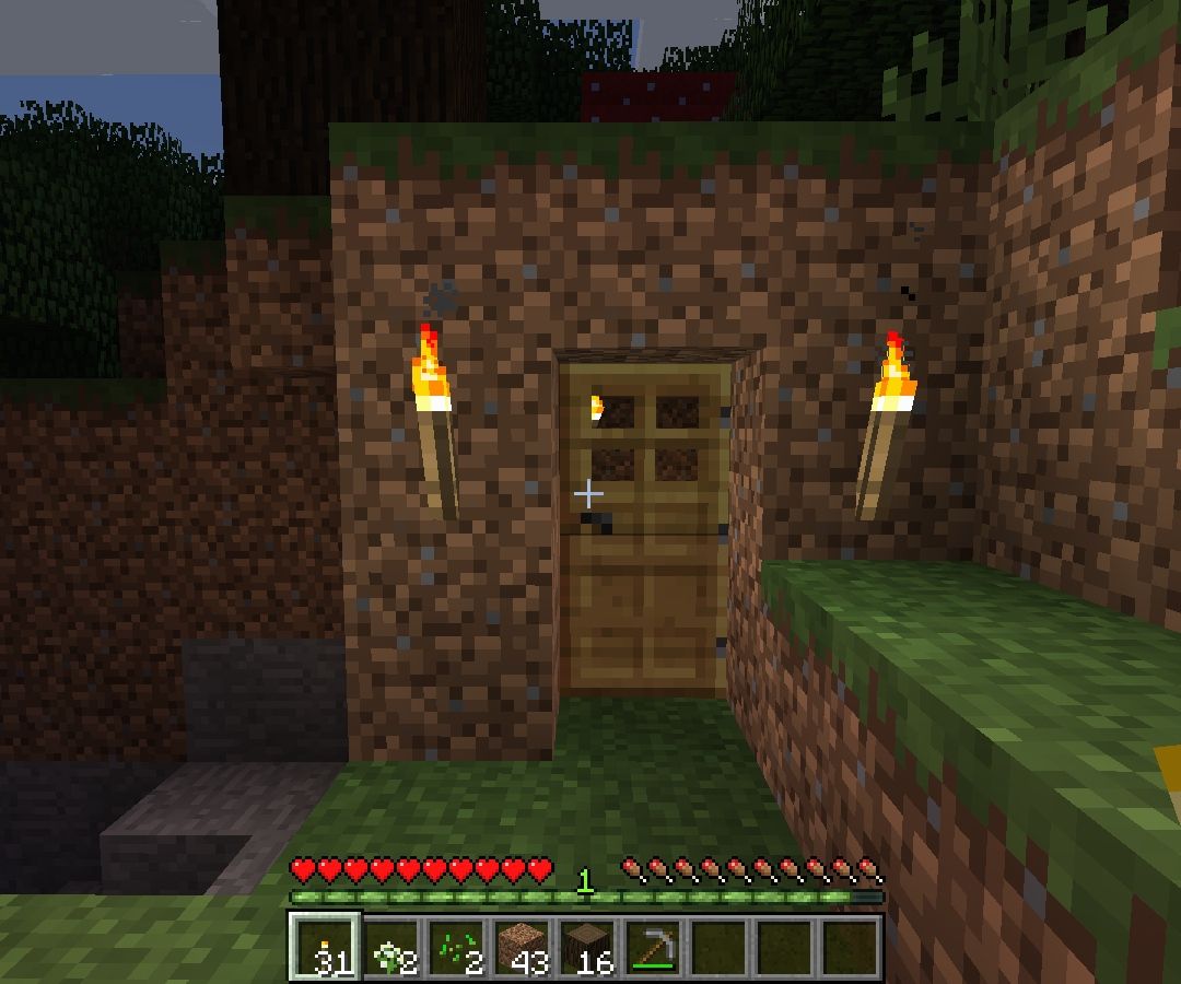 How to Survive Your First Day in Minecraft : 10 Steps (with Pictures ...