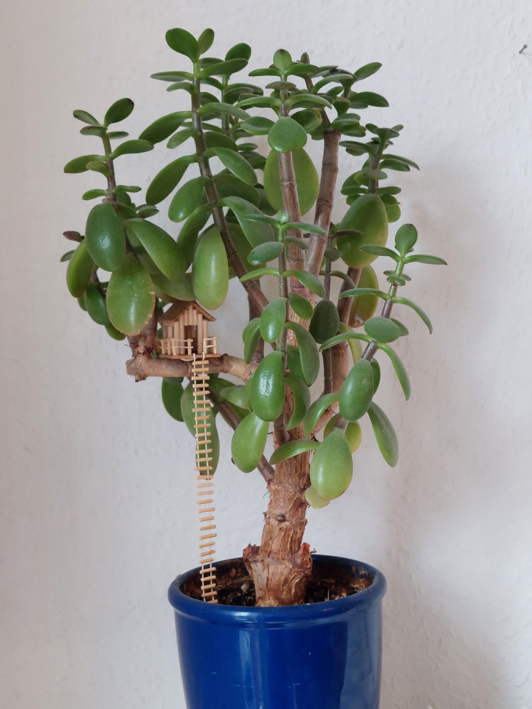 Tiny Tree House : 6 Steps (with Pictures) - Instructables