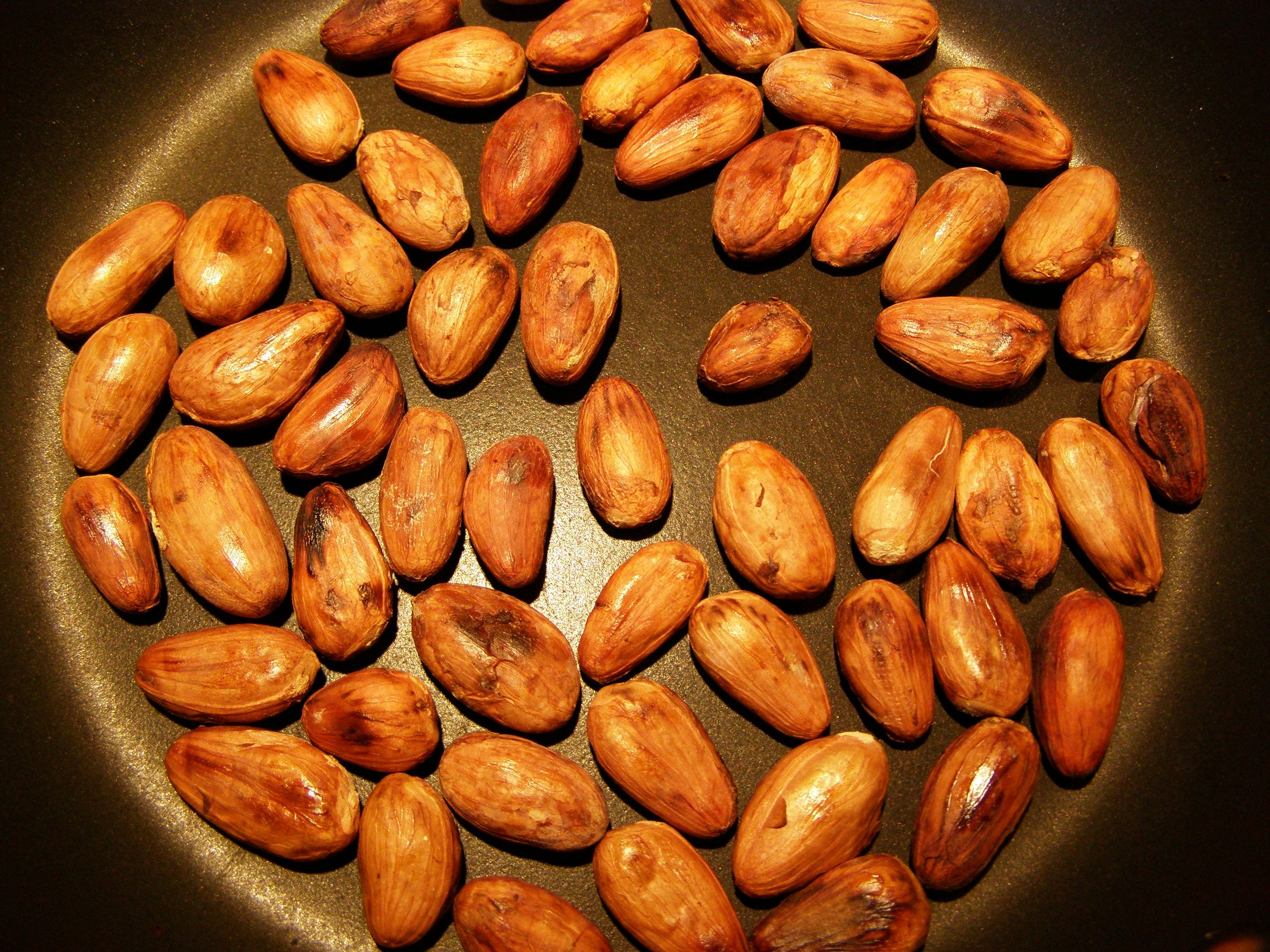 Mayan Chocolate Drink : 8 Steps (with Pictures) - Instructables