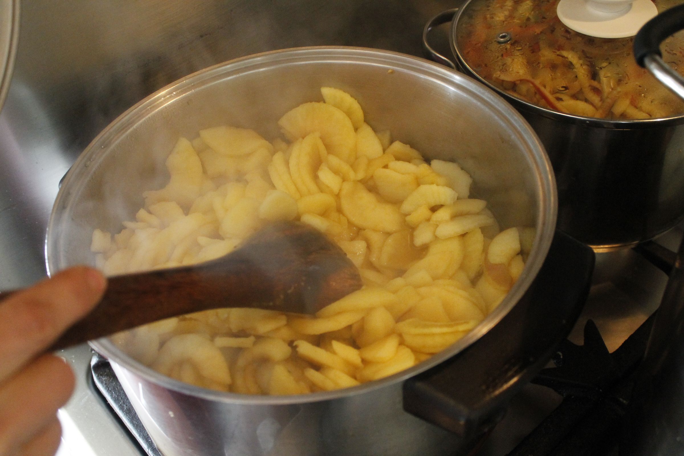 How to Stew Apples : 6 Steps (with Pictures) - Instructables