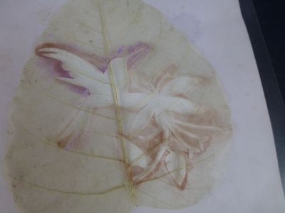 How to Make Skeleton Leaves : 4 Steps (with Pictures) - Instructables