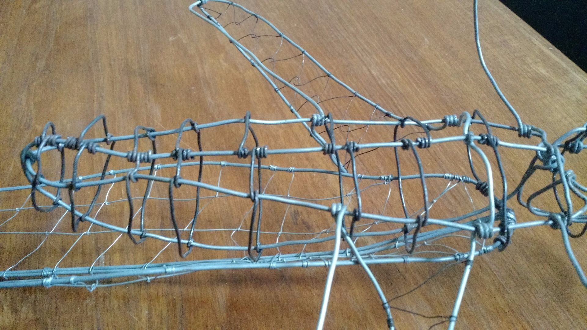 Build a Realistic Insect From Wire : 5 Steps (with Pictures ...