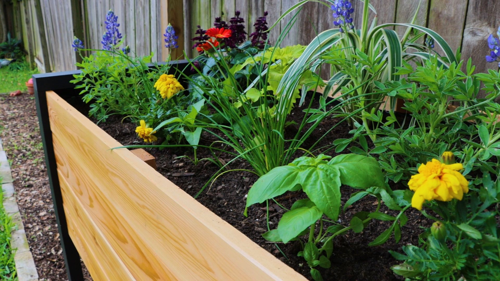 How to Make a DIY Raised Planter Box : 14 Steps (with Pictures ...