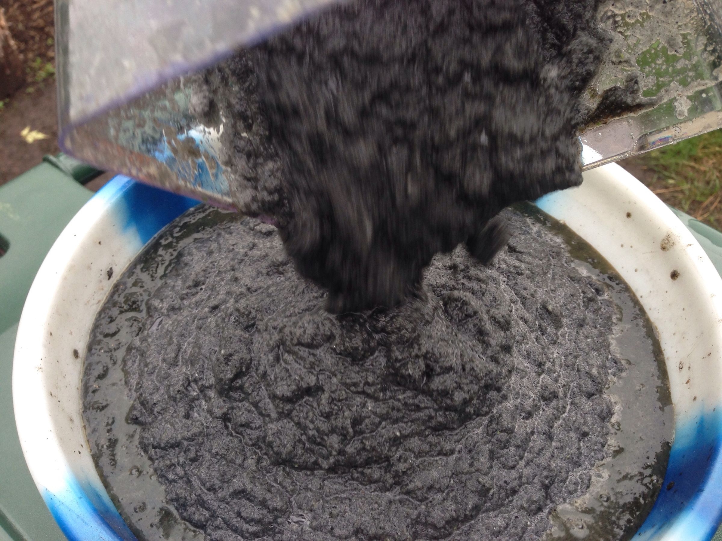 Make Worm Food for Your Wormery : 4 Steps (with Pictures) - Instructables