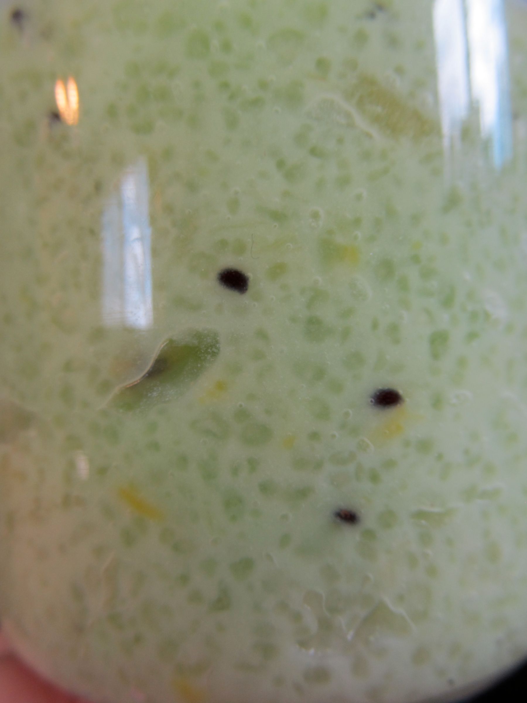 Frog Egg Pudding (with Pictures) - Instructables
