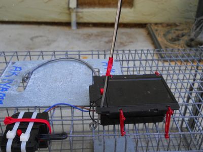 Remote Control Cage Trap : 5 Steps (with Pictures) - Instructables