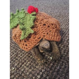 Tortoise Jumper : 9 Steps - Instructables