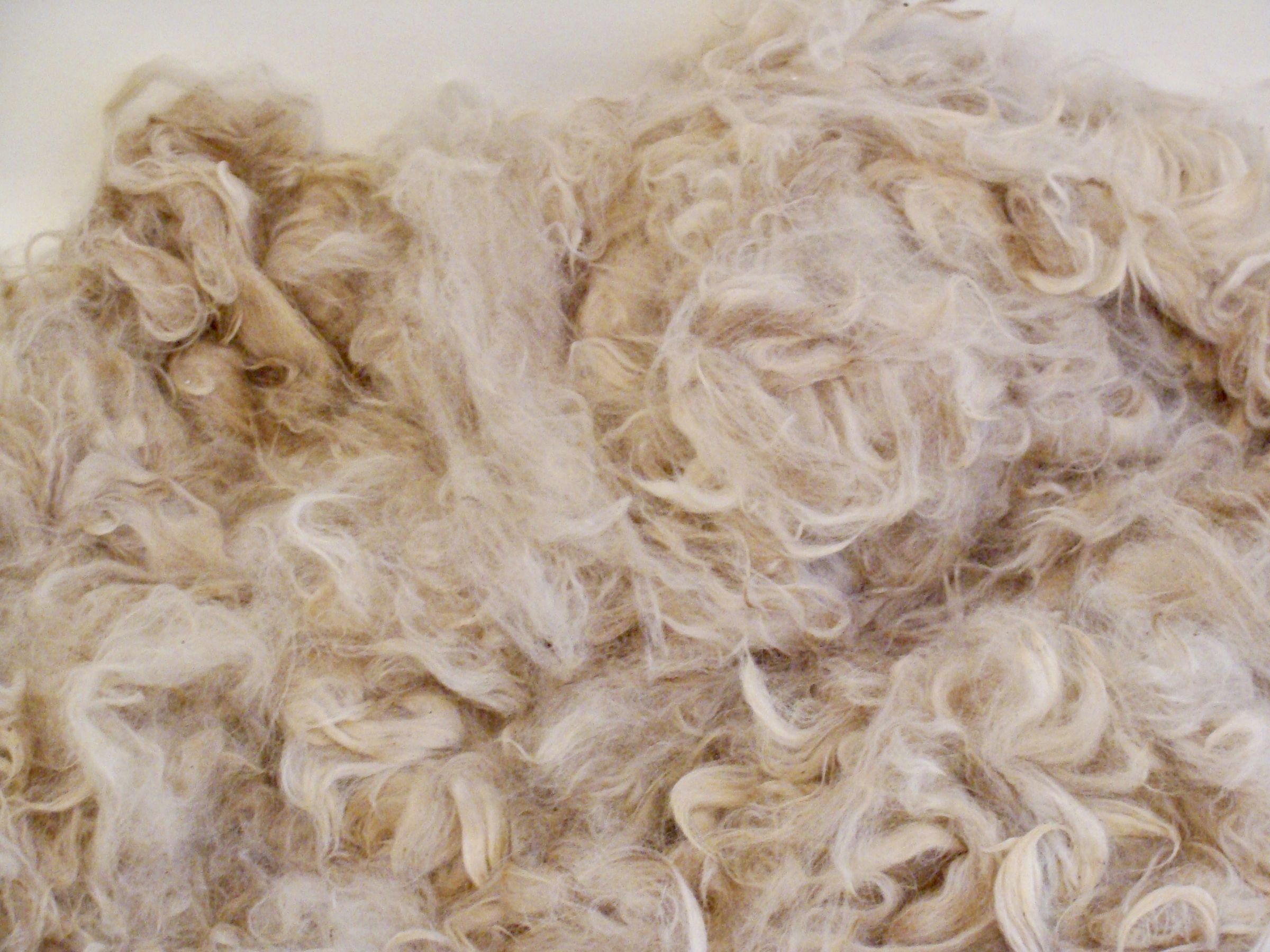 Alpaca Fleece . . . . Now What? : 10 Steps (with Pictures) - Instructables