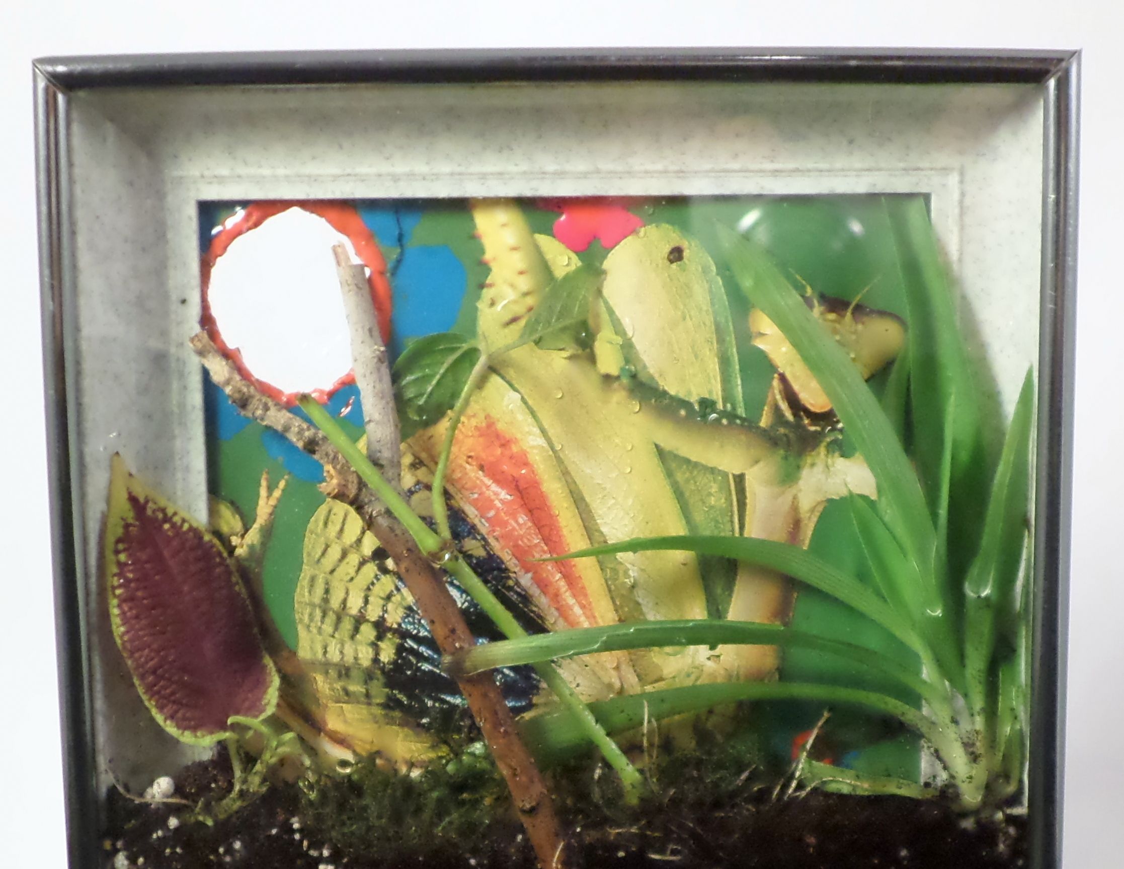 Picture Frame Terrarium : 13 Steps (with Pictures) - Instructables