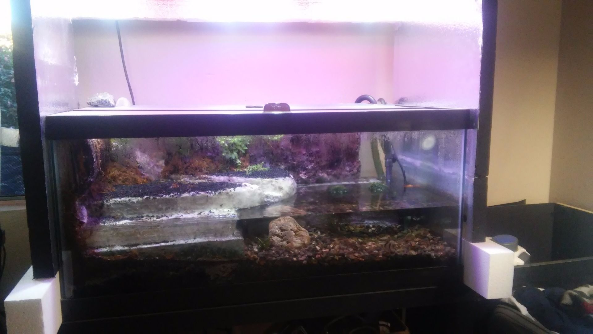 Paludarium : 9 Steps - Instructables