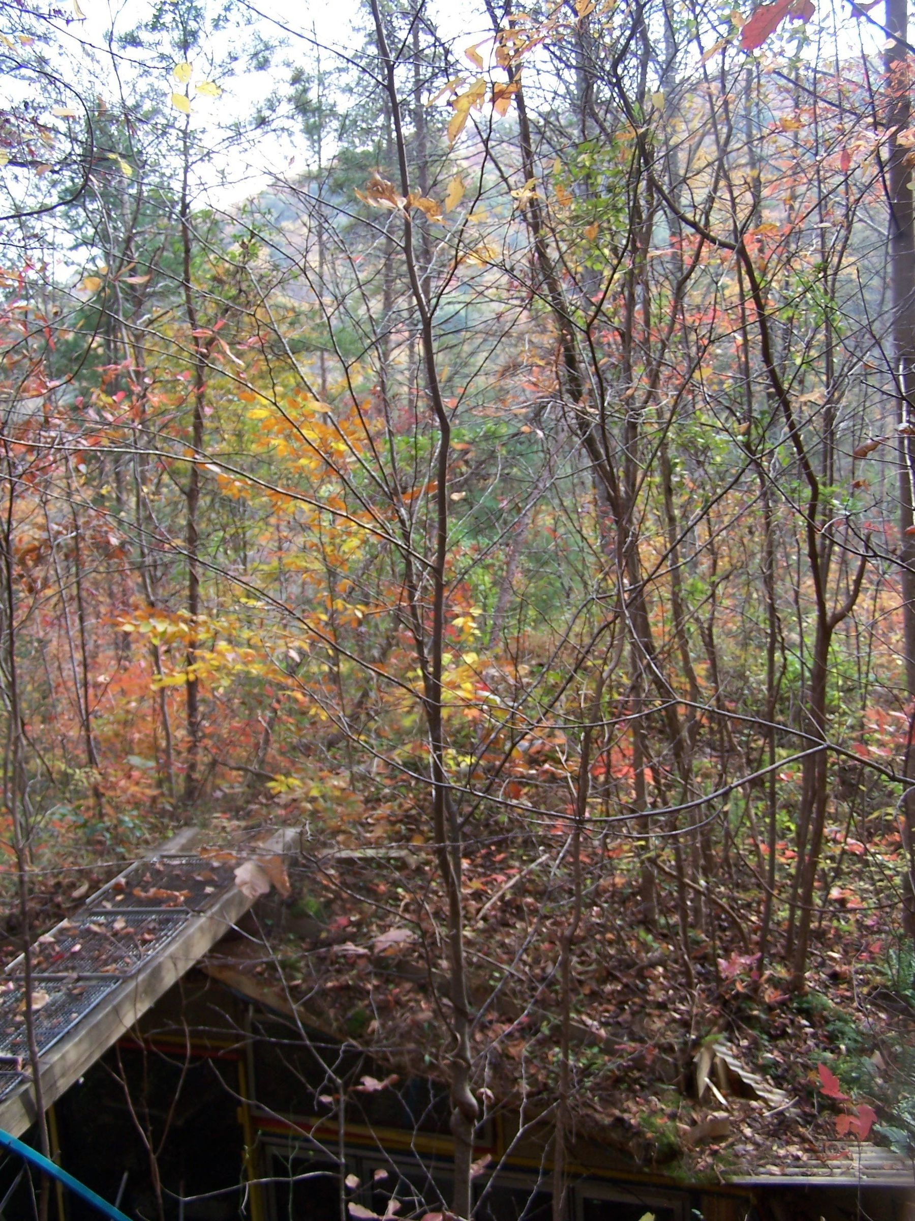 Tiny Underground Solar House : 14 Steps (with Pictures) - Instructables