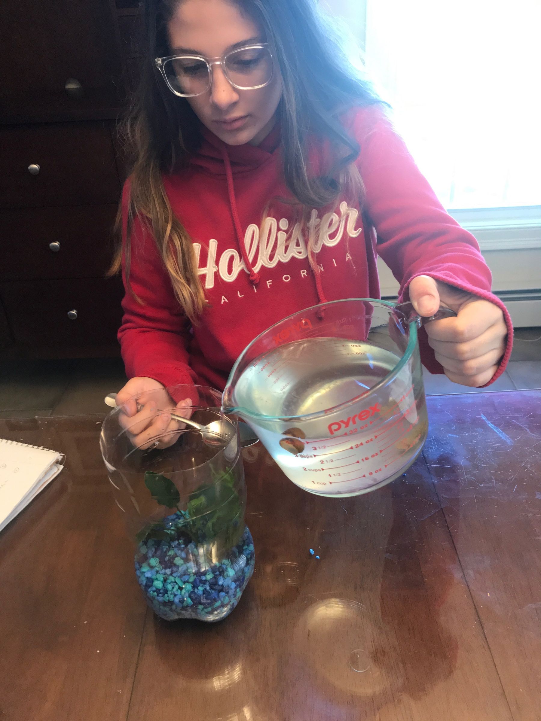 Ecosystem in a Bottle : 11 Steps (with Pictures) - Instructables